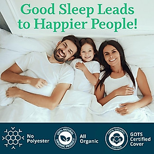 OrganicTextiles Talalay Latex Pillow with Organic Cotton Cover (Queen Size, Soft), GOTS Certified, Bed Pillow for Sleeping, Neck Pain Relief Help, Head Support, for Side Back Stomach Sleeper