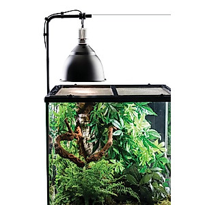 Exo Terra Lamp Holder Bracket for Reptiles, Multicolor, 1 Count (Pack of 1)