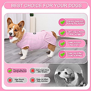 EMUST Dog Recovery Suit, After Surgery Wear for Dogs Male Female, Pet E-Collars Alternative Bandages, Professional Dog Onesie for Surgery for Abdominal Wounds, Weaning&Skin Diseases,Pink Strip/XS