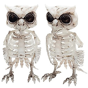 SCS Direct Owl Halloween Skeleton (2 Pack)-6.5" Long Weather Resistant Yard Fall Decorations-Graveyard Prop for Haunted House Party Decor and Indoor/Outdoor Use, School Classroom Decoration