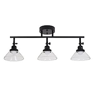 Catalina 23" Classic 3-Light Integrated LED Track Light with Adjustable Clear Glass Shades, Black