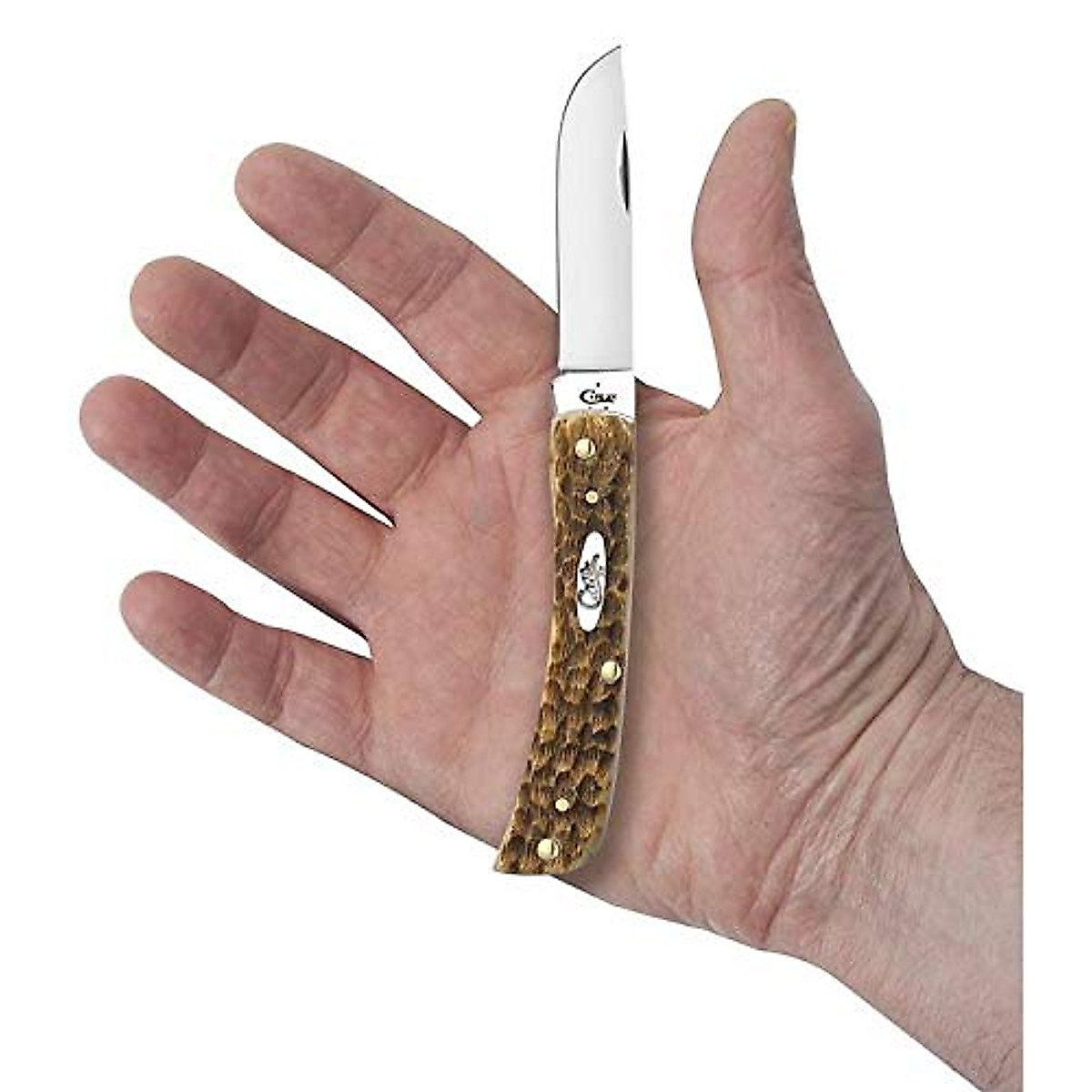 Personalized Case Amber Bone Peach Seed Jig Sod Buster Jr Pocket Knife with Free Text Laser Engraving