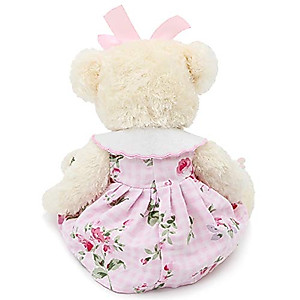 Oitscute Small Baby Teddy Bear with Cloth Cute Stuffed Animal Soft Plush Toy 10" (Pink Dress with Rabbit)