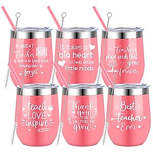 6 Pcs Christmas Teacher Appreciation Gifts Thank You Teacher Gifts for Women Stainless Steel Teacher Tumbler with Straw and Lid 12 oz Insulated Teacher Mug Birthday Gifts for Teacher(Pink)