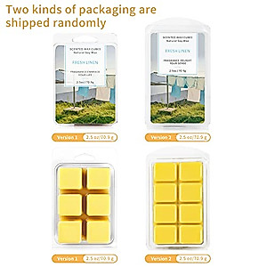 SCENTORINI Wax Melts, Wax Cubes, Soy Wax Cubes for Wax Warmer, Ocean Breeze, Fresh Linen, Bohemia Forest, Winds in Summer, 4 x 2.5oz