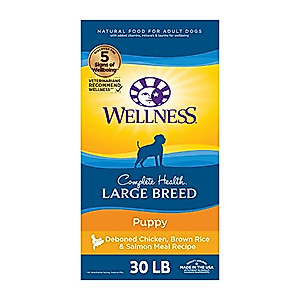 Wellness Complete Health Large Breed Dry Dog Puppy Food with Grains, Natural Ingredients, Made in USA with Real Meat (Puppy, Chicken, Salmon & Rice, 30-Pound Bag)