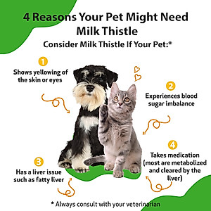 Pet Wellbeing Milk Thistle for Dogs & Cats - Supports Liver Health, Protects Liver - Glycerin-Based Natural Herbal Supplement - 4 oz (118 ml)