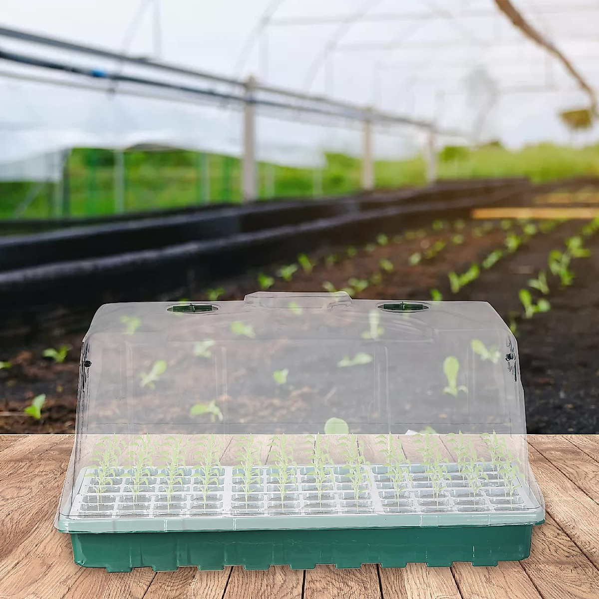 DEAYOU 2-Pack Seed Starter Tray with Humidity Dome and Base, 144 Cells Adjustable Seedling Starting Clone Tray, Garden Propagator Germination Kit with Plant Tags for Indoor Hydroponic Plants Growing