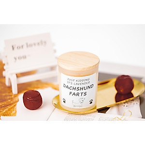 Dachshund Gifts, Dachshund Gifts for Women Men, Dachshund Decor, Dachshund Dog Candle, Weiner Dog Gifts, Wiener Dog Gifts, Weenie Dog Gifts Women Men