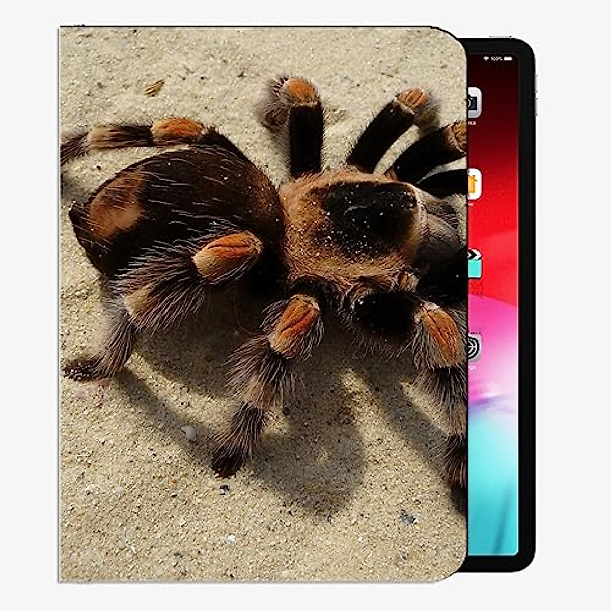 Hubin Compatible with iPad Air 5th Generation Case 2022/ iPad Air Case 4th Generation 10.9'',Spider Tarantula Animals A189 Whit Auto Sleep/Wake Up