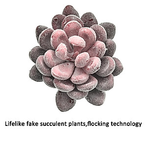 Daxi Events Artificial Succulents, 17 Pack Fake Succulents, Unpotted Faux Succulents， Realistic Textured Succulent Plants, Large Artificial Succulent Plants Bulk Decor Table Home Office Garden