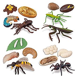 Toymany 16PCS Insect Figurines Life Cycle of Stag Beetle,Honey Bee,Mantis,Ant Plastic Safariology Bug Figures Toy Kit Caterpillars to Butterflies Educational School Project for Kids Toddlers