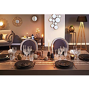 Cristal D'Arques Longchamp 2 Ounce Cordial Glass, Set of 6, 6 Count (Pack of 1), Clear