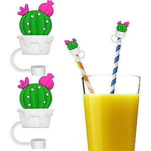 2pcs Straw Tips Cover Straw Covers Cap for Reusable Straws Cloud Shape Straw Protector, Silicone Straw Plugs Reusable Cloud Shape Straw Protector (Prickly pear)