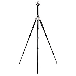Benro MeFOTO Globetrotter Travel Tripod, Ballhead and Monopod in Titanium, 2 Series Aluminum Legs, 4 Leg Sections, Twist Leg Locks, Padded Carrying Case (BMGTATTN)