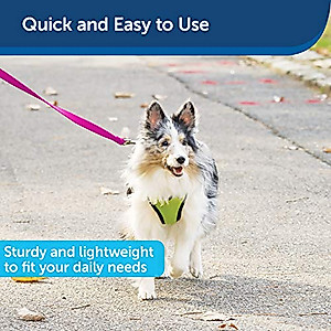 PetSafe Nylon Dog Leash - Strong, Durable, Traditional Style Leash with Easy to Use Bolt Snap - 3/4 in. x 6 ft, Raspberry Pink