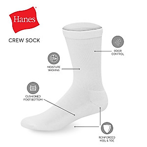 Hanes mens Hanes Men's X-temp Cushioned Crew (Pack of 12 Pairs) Casual Sock, White, 14 US