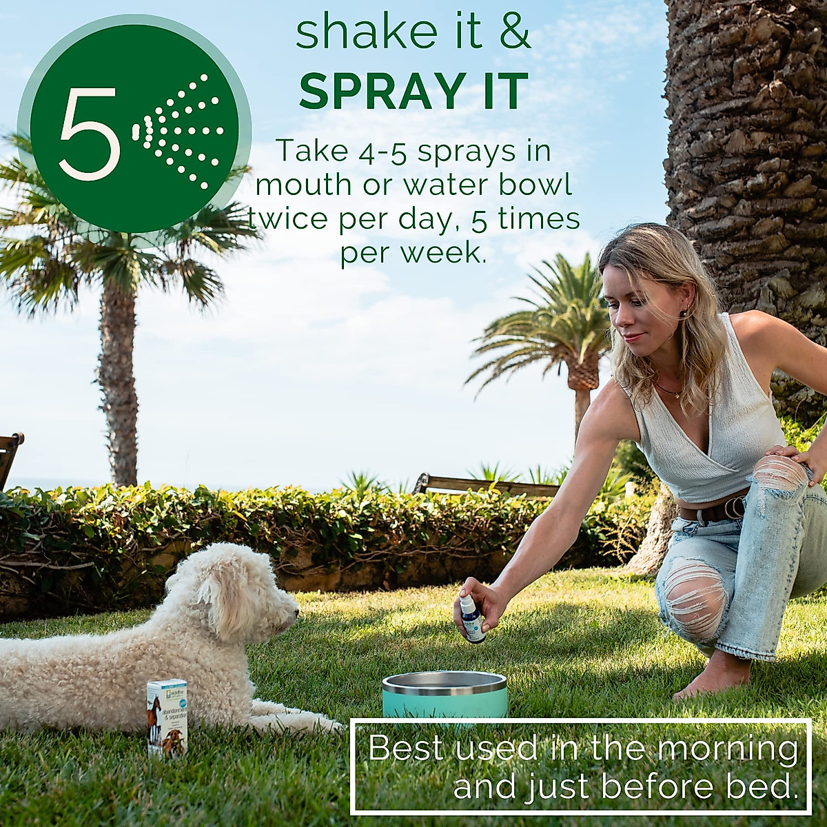 Siddha Remedies Abandonment & Separation for Pets | Natural Homeopathic Remedy for Dogs, Cats, and Animals | Naturally Helps Animals with Fears and Obsessive Behaviors | Supports Healthy Independence