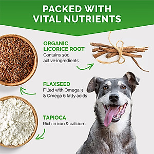 Premium Care Cranberry Bladder Chews - Dog Supplements for Urinary Tract (UT) Health, Bladder and Kidney Support - Cranberry Chewables with Vitamins for Better Bladder Control for Dogs - 120 Chews