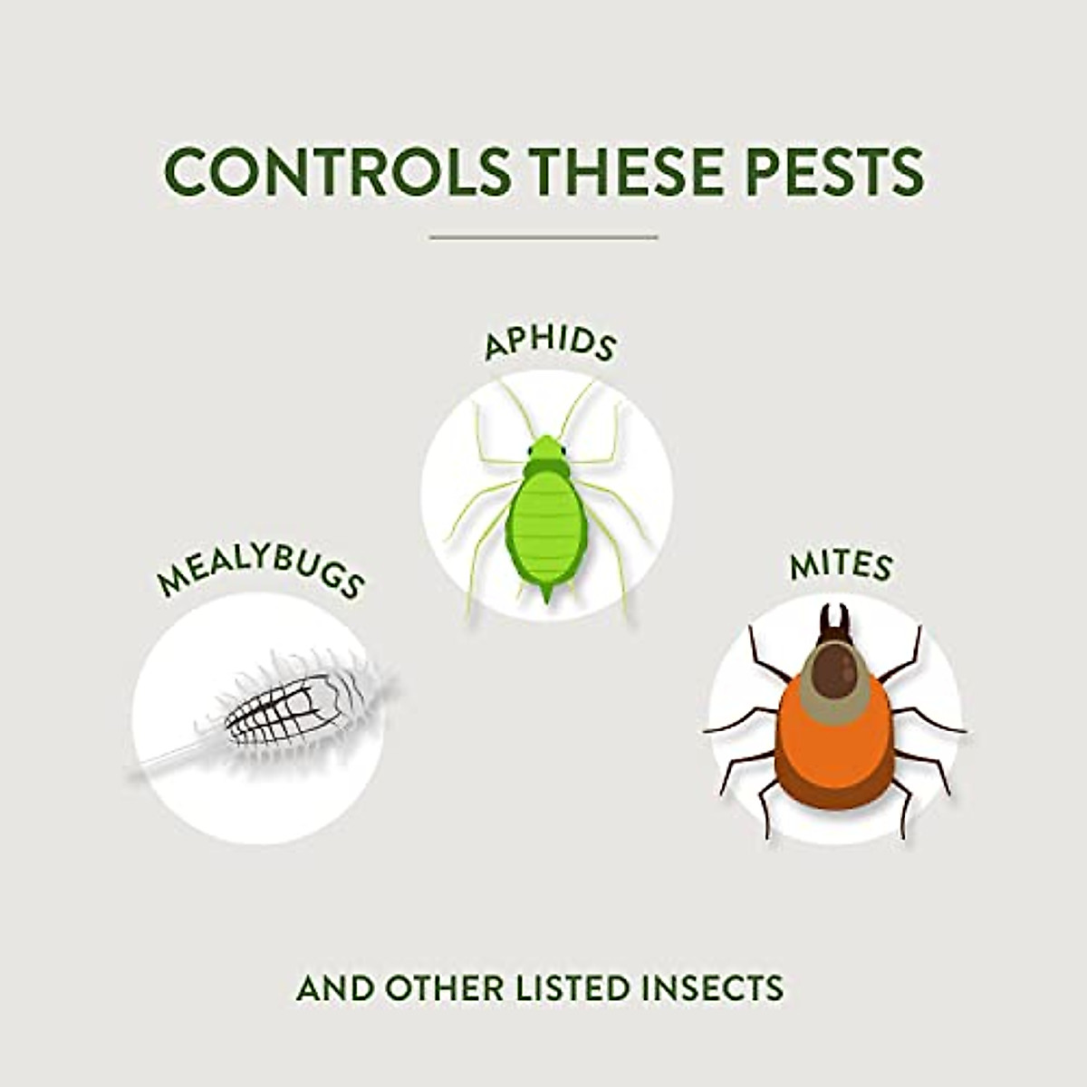 Garden Safe 32 oz. Insecticidal Soap Ready-to-Use