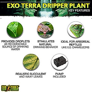 Exo Terra Dripper Plant, Small