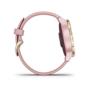 Garmin Vivoactive 4S GPS Smartwatch with Music & Fitness Activity Tracker & Health Monitor Apps (Dust Rose/Gold) 010-02172-31 4 S Bundle with CPS Enhanced Protection Pack