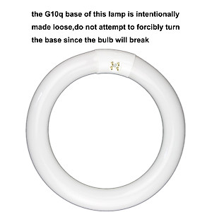 CHKADAWA FC8T9/CW Circular Fluorescent Light Bulb, 8 Inch Round T9 22W Circline Bulbs Replacement for Circle Ceiling Fixture, Cool White 4100K 1350 Lumens, G10q 4 Pin Base, 2 Pack