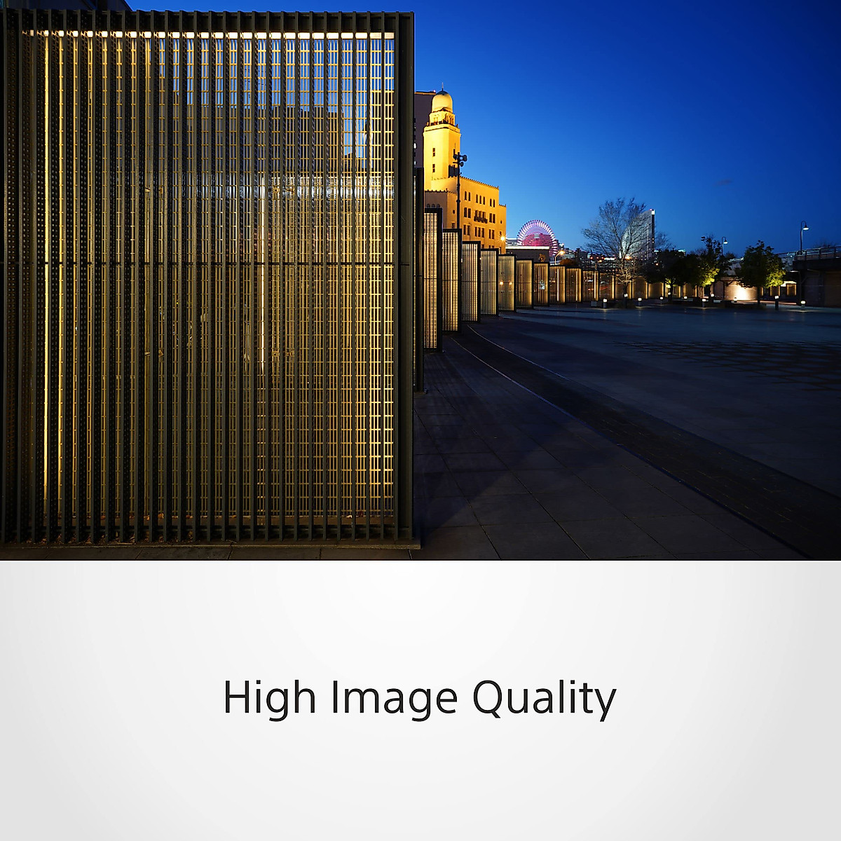 Sony SEL24F28G - Full-Frame Lens FE 24mm F2.8 G - Premium G Series Prime Lens Black