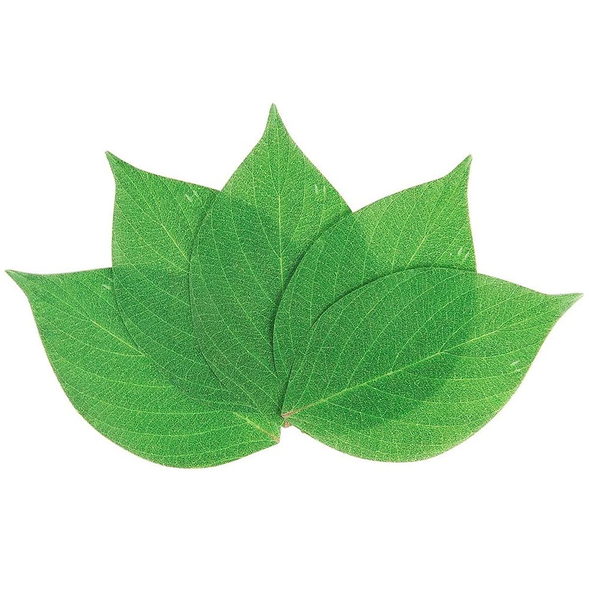 Oasis Supply Grease Resistant Leaf Cheese Paper, Disposable Cheese Board Paper, Package of 10 - Medium 7"