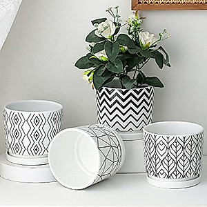 Ton Sin Plant Pots,5.5 Inch White Pots for Indoor Plants with Drainage Holes,Cylinder Flower Pot Ceramic Planters with Saucer,Cactus Succulent Outdoor Garden Pots Set of 4