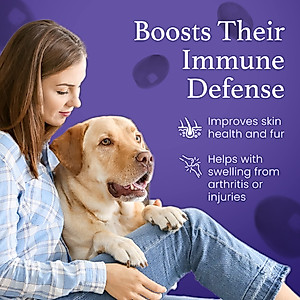 C60 Evo Dog Supplement, Pure ESS60 in Extra Virgin Olive Oil for Dogs, All-in-One Dog Immune Supplement, Dog Joint and Energy Support, Infused with Natural Bacon Essence, 3 oz - C60 Evo