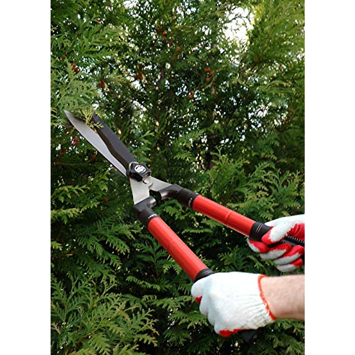 TABOR TOOLS B212A Telescopic Hedge Shears with Wavy Blade and Extendable Steel Handles. Extendable Manual Hedge Clippers for Trimming Borders, Boxwood, and Tall Bushes.