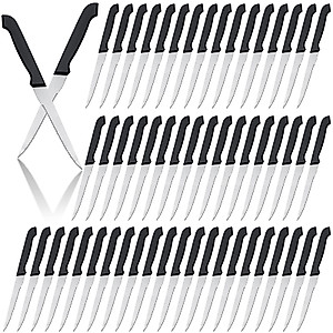 Therwen 100 Pieces Serrated Edge Pointed Tip Steak Knives Stainless Steel Steak Knife with Serrated Edge 8.8 Inch For Kitchen Restaurant Tableware Camping