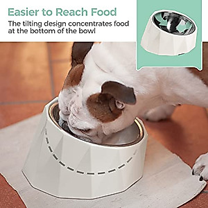 Elevated Dog Bowl for Small Dogs, Tilted Dog Bowl Dog Dish with Detachable Melamine Stand, Dog Food Bowl for French Bulldogs, Puppies, Cats, Non-Skid, Easier to Reach Food