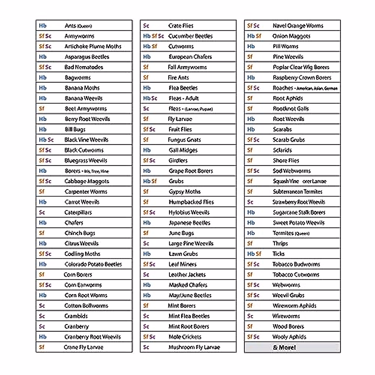 Natures Good Guys Beneficial nematodes Heterorhabditis bacteriophora 5 Million