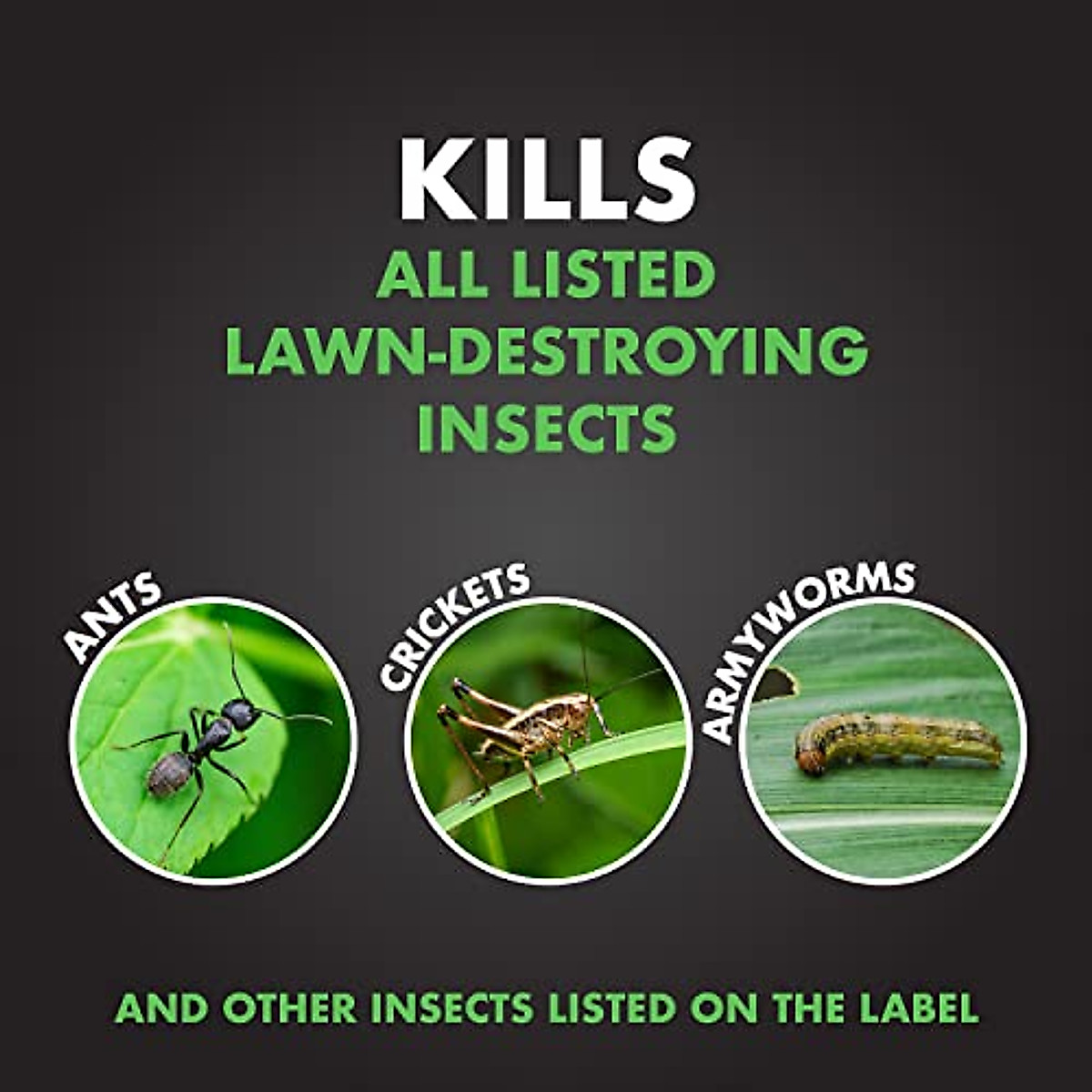 SpectracideTriazicide Insect Killer for Lawns Granules 20 lb, 1-PK