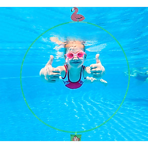 15PCS Pool Toys Games Set-5 Diving Through Swim Rings + 5 Flamingo Buoys + 5 Sand Bags for Kids 3,4,5,6,7,8,9,10,11,12 Adults-Swimming Thru Pool Hoop Accessories Water Sport Gifts (Assembly Needed)