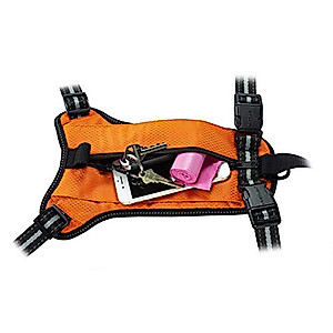 PetSafe Walk-Along Outdoor Dog Harness, No-Pull Solution, Water-Resistant, Zippered Pouch for Storage, Built-in Car Restraint, Medium
