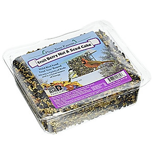 Pine Tree 1361 Fruit Berry Nut and Seed Cake, 2-Pound