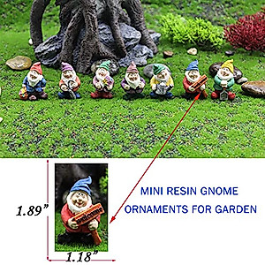 HONEYSHOW Fairy Garden Accessories Outdoor,Garden Gnomes Decorations-Mini Gnomes Garden Set/Seven Dwarfs Statue for Fairy Garden/Flower Pot/Home Decoration.