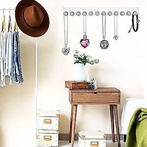 ChengFu Acrylic Urn Necklace Holder, Urn Necklace Hanger, Wall Mounted Jewelry Organizer Hanging with 12 Hooks, Necklace Holder for Urn Necklace