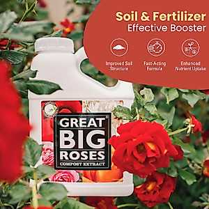 Great Big Roses – Soil and Rose Fertilizer Booster to Grow The Best Roses and Flowers; Rose Food Compost Extract for Rose Bush, 32 Ounce Concentrate (Makes 8 Gallons)