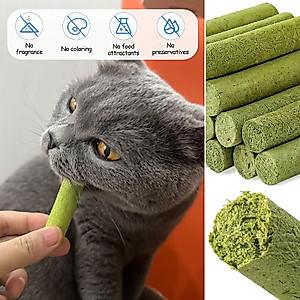 HavenJanny 50g Cat Grass Teething Stick, Freezed Drying Cat Grass Sticks Snacks for Cats, Edible Cat Treats for Teeth Cleaning and Hairball Removal