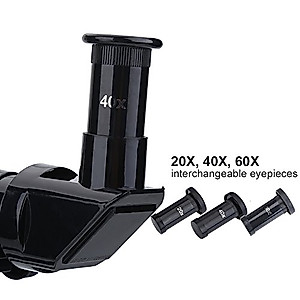 Telescope for Kids Beginners, Travel Scope, Equipped with 20X, 40X, 60X Interchangeable Eyepieces, Portable Travel Telescope with Tripod, Best Gift for Child (Purple)