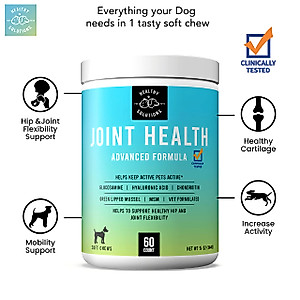 Dog Daily Essentials Bundle - Includes All-in-One Dog Multivitamin, Probiotics for Dogs, & Glucosamine for Dogs - Supports Joints, Digestion, Skin, & Coat - 60ct Soft Chews | Made in USA