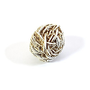 2" Desert Rose Specimen (Selenite), Single Piece