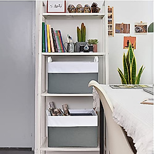 GRANNY SAYS Bundle of 1-Pack Hanging Closet Organizers and Storage & 2-Pack Lidless Storage Bins with Metal Frame