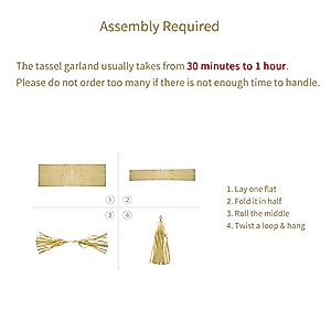 ANSOMO Purple Tissue Paper Tassel Garland Party Banner - 20 PCS (Purple/Lavender/White/Gold)