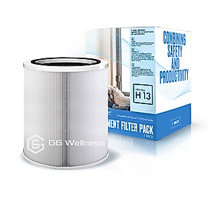 G6 Wellness H13 HEPA 1-Pack Replacement Filter Set Compatible with Clorox 11010 Air Purifier | 3 in 1 Filtration | Medical Grade True HEPA Filter H13 | Activated Carbon | Pre-Filter | 99.9% removal
