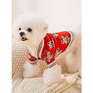 QWINEE Cartoon Bear Pattern Dog Sweater Dog Warm Coat Dog Clothes for Puppy Kitten Cat Small Medium Dogs Multicolor M